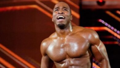 Fightful | WWE News, AEW News, Pro Wrestling Backstage News