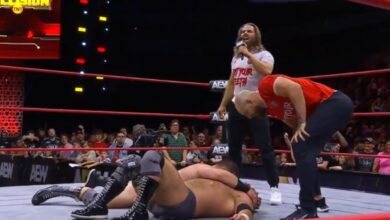 Fightful | WWE News, AEW News, Pro Wrestling Backstage News