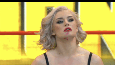 Fightful | WWE News, AEW News, Pro Wrestling Backstage News