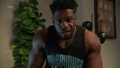 Fightful | WWE News, AEW News, Pro Wrestling Backstage News